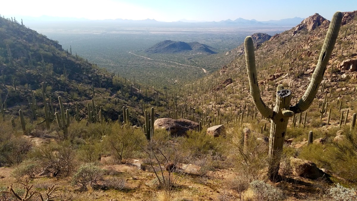 Phoenix History III: Inspiration in a god-forsaken hellhole – Charles ...