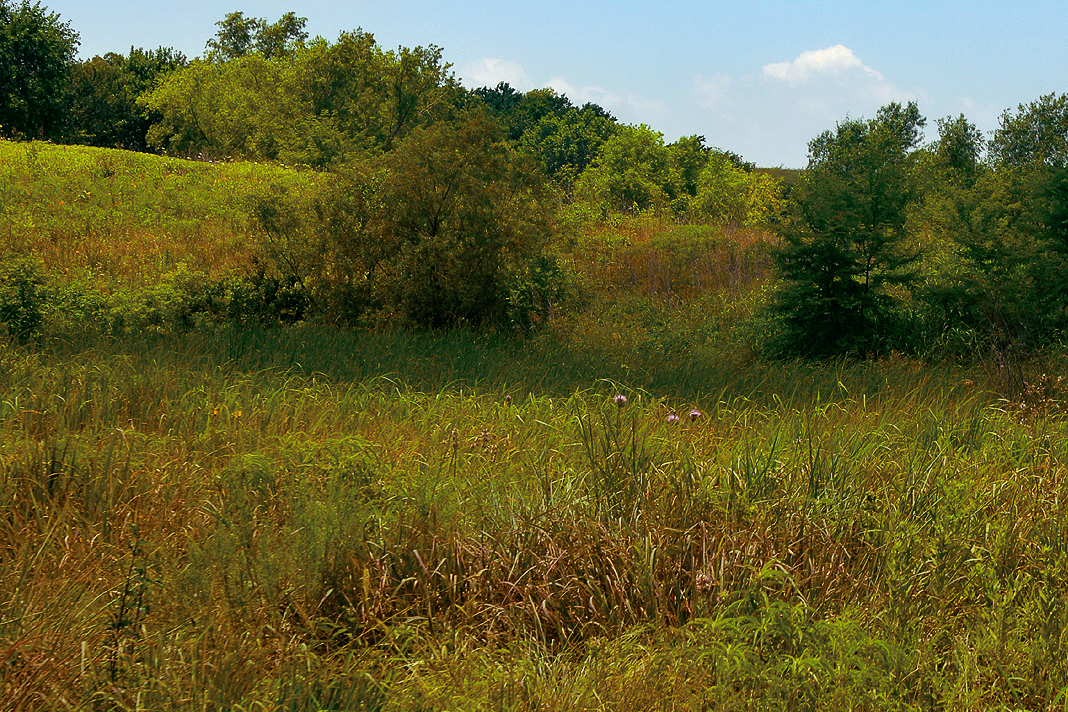 How the Blackland Prairie Clay once hit me – Charles Torello